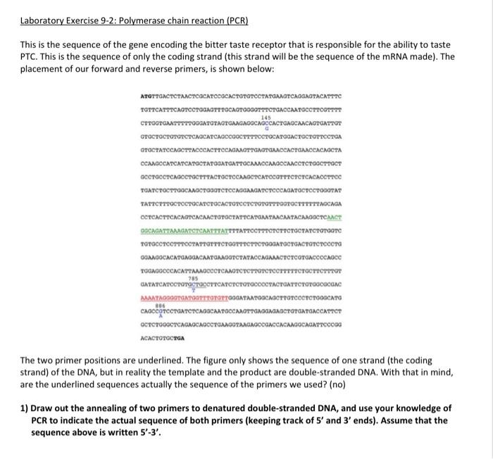 Solved Laboratory Exercise 9-2: Polymerase chain reaction | Chegg.com