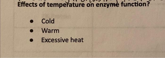 Solved Effects of temperature on enzyme function? Cold Warm | Chegg.com