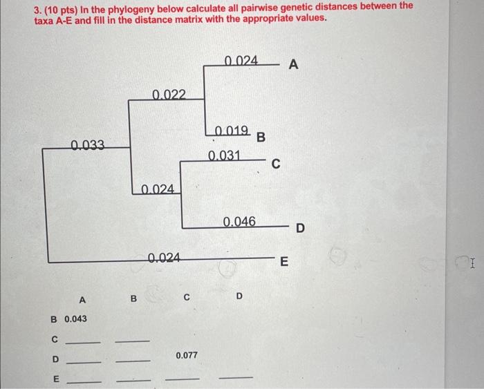 Solved in the phylogeny below, calculate all of pairwise | Chegg.com