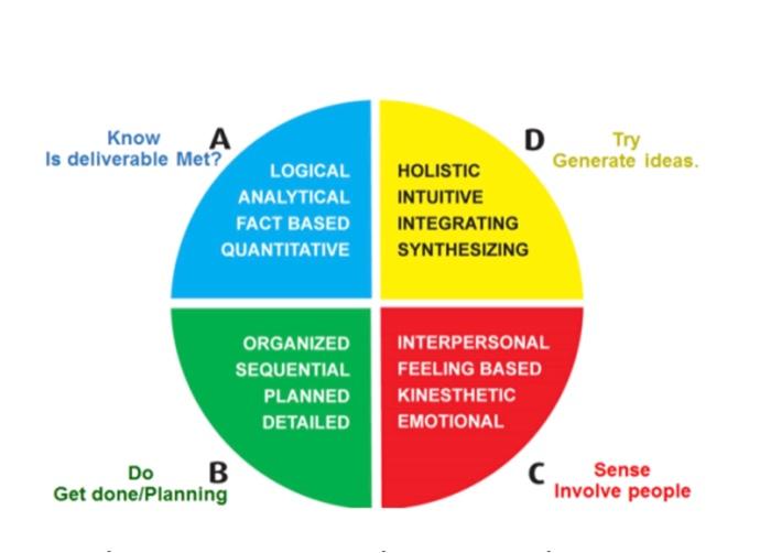 Solved D 100AL Hermann Personality Analysis Based on the | Chegg.com