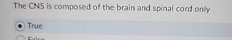Solved The CNS is composed of the brain and spinal cord | Chegg.com