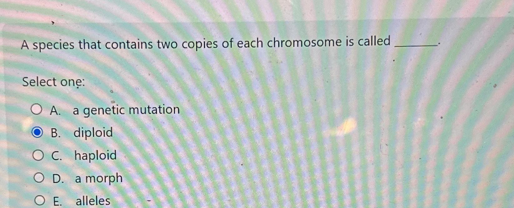 Solved A species that contains two copies of each chromosome | Chegg.com
