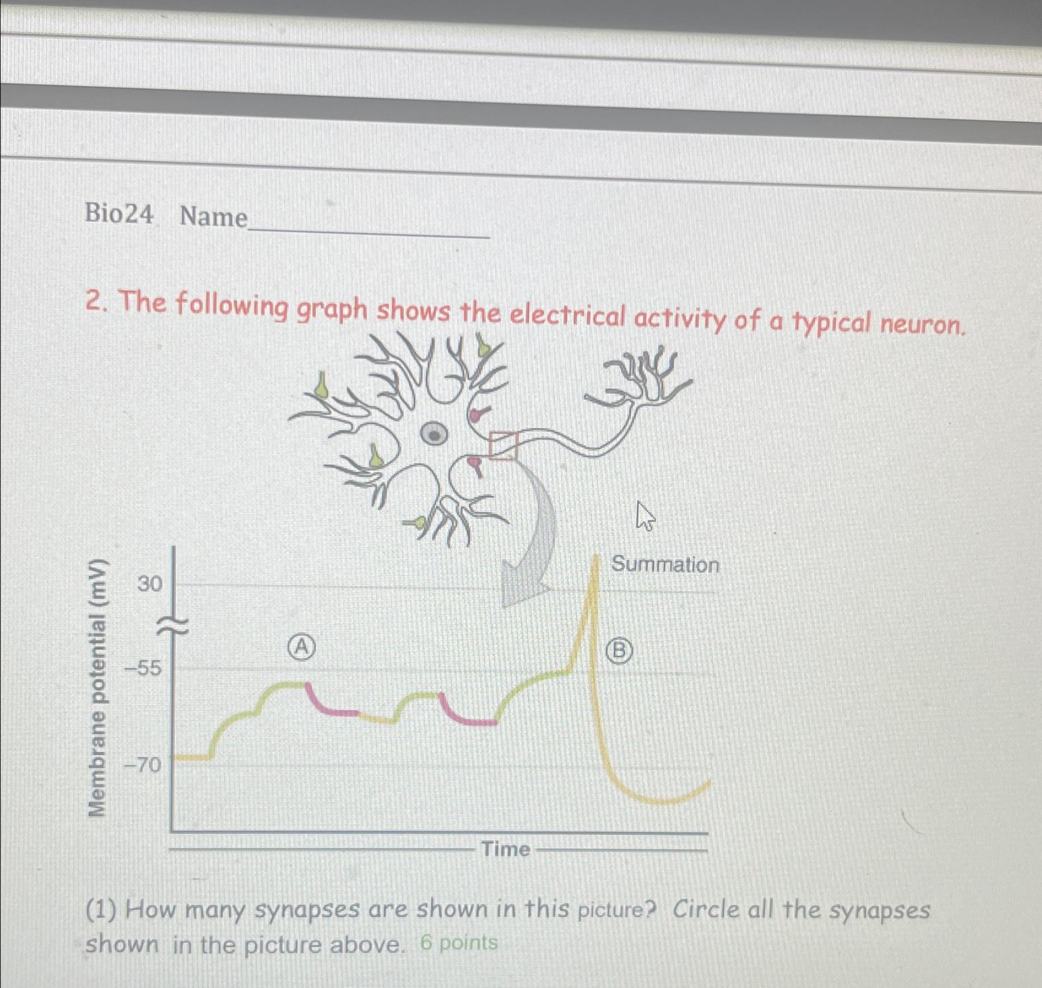 Solved Bio24 ﻿Name2. ﻿The following graph shows the | Chegg.com