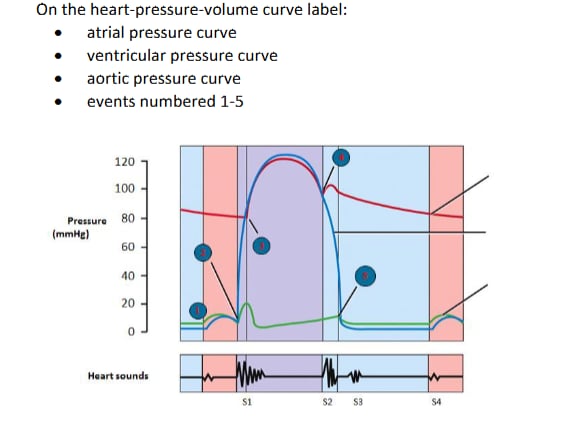 Solved On the heart-pressure-volume curve label:- ﻿atrial | Chegg.com