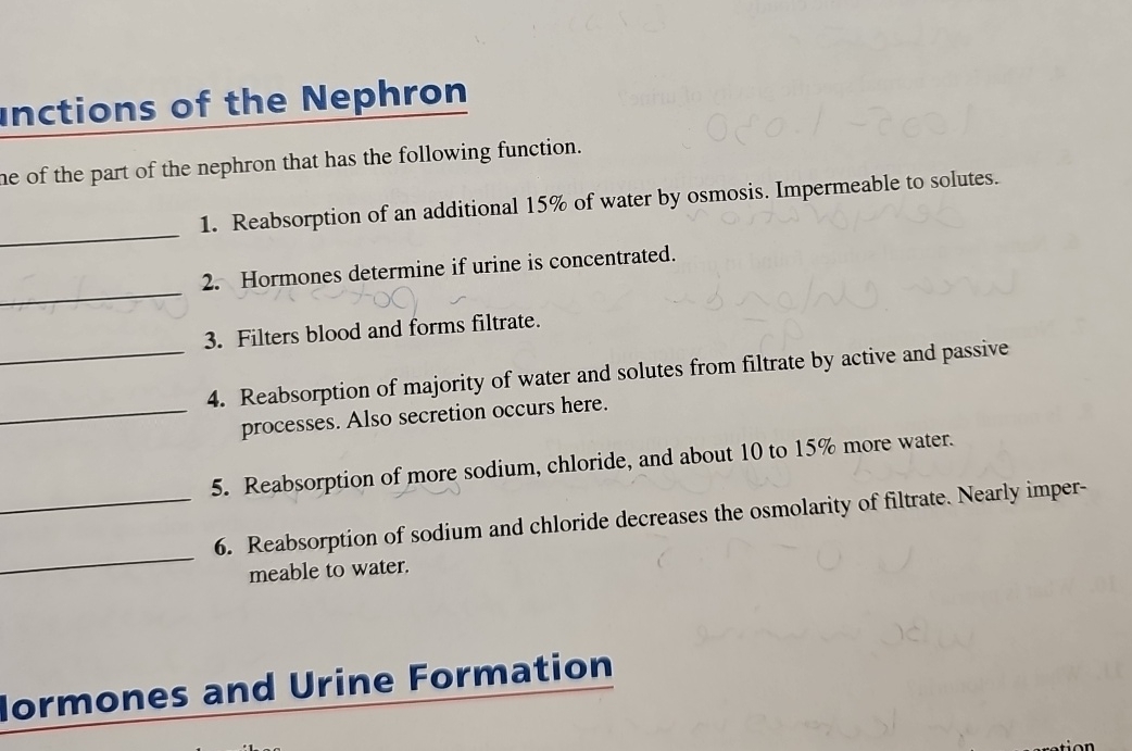 Solved unctions of the Nephronae of the part of the nephron | Chegg.com