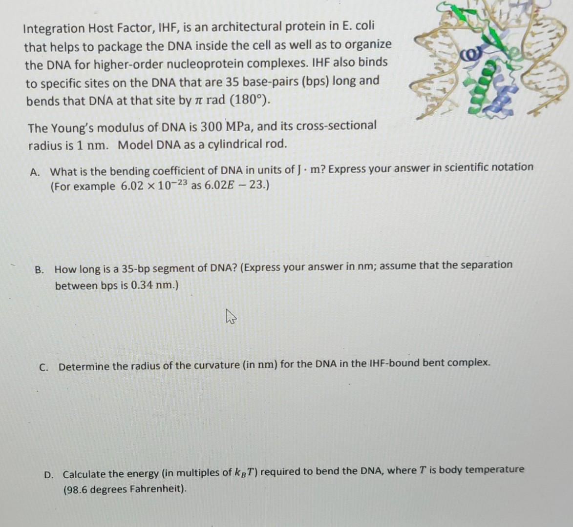 Solved Integration Host Factor, IHF, is an architectural | Chegg.com