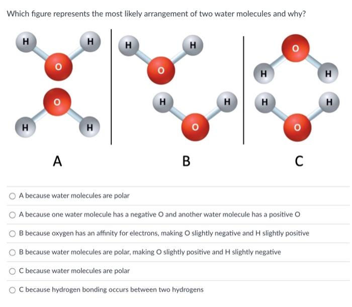 Solved Which figure represents the most likely arrangement | Chegg.com