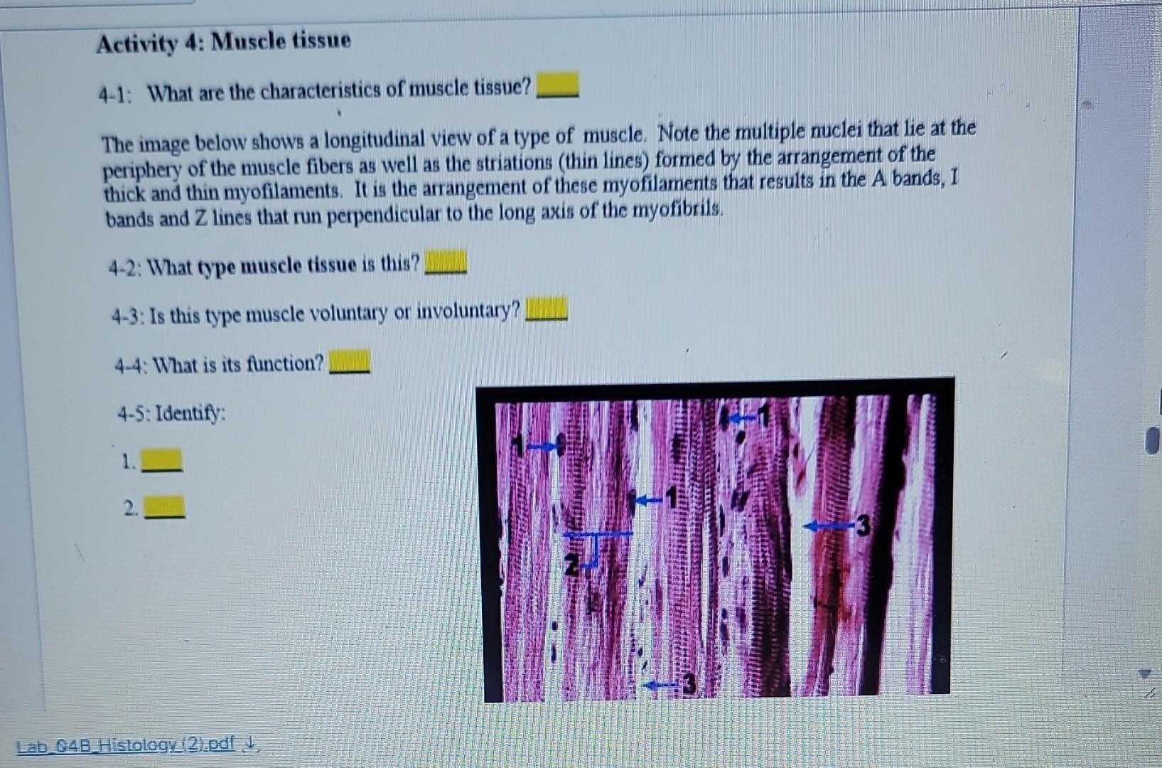 Solved 4-1: What are the characteristics of muscle tissue? | Chegg.com