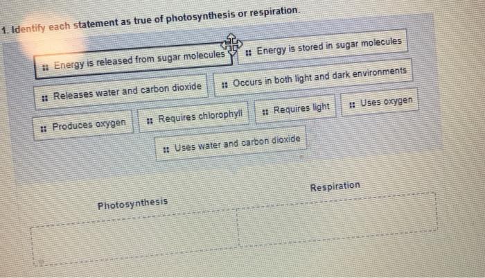 Solved 1. Identify each statement as true of photosynthesis | Chegg.com