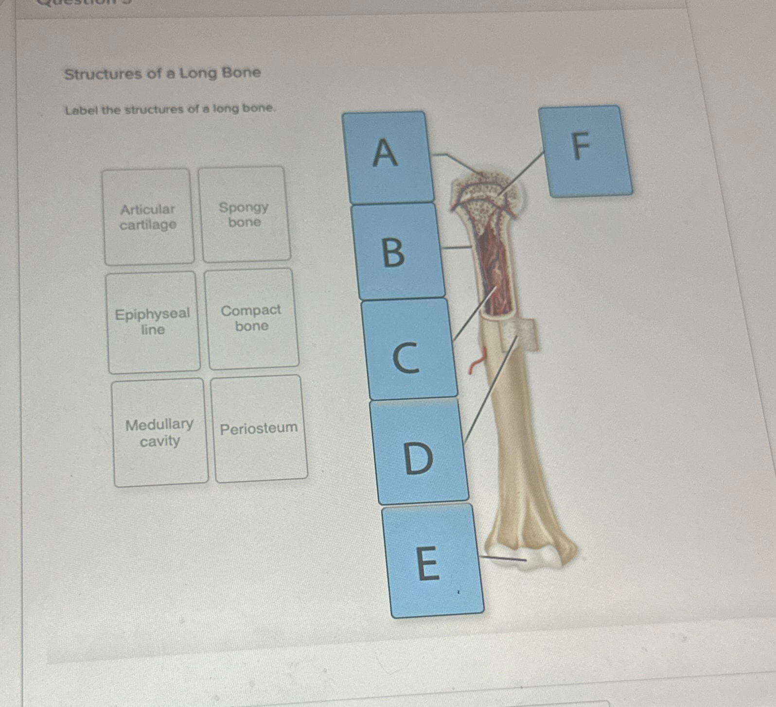 Solved Structures of a Long BoneLabel the structures of a | Chegg.com
