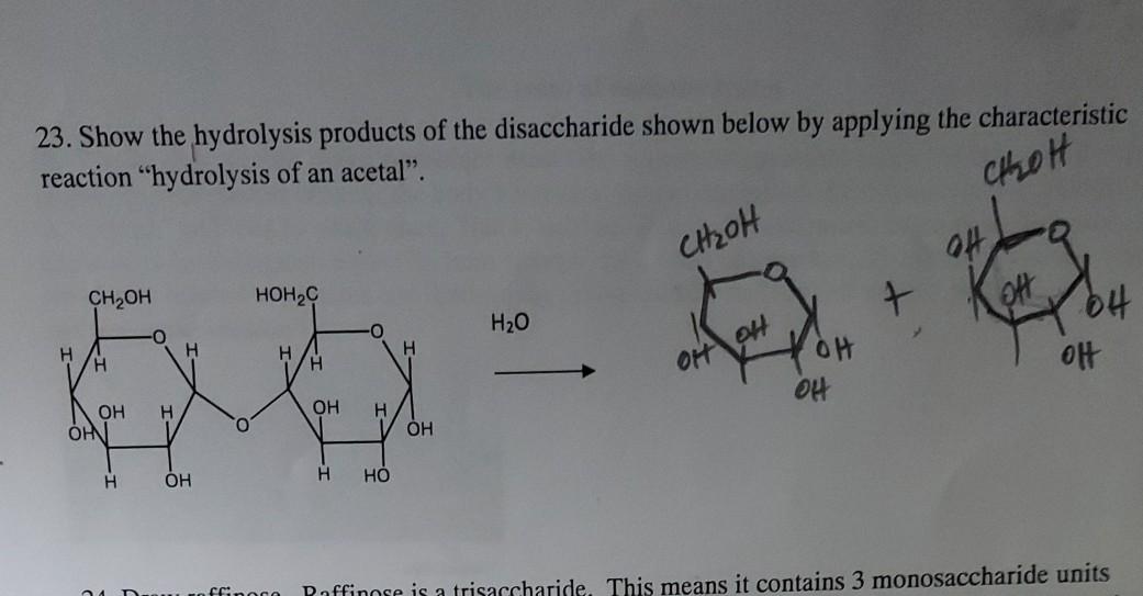 Solved 23. Show the hydrolysis products of the disaccharide | Chegg.com