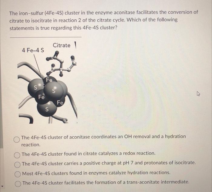 Solved The iron-sulfur (4Fe-4S) cluster in the enzyme | Chegg.com