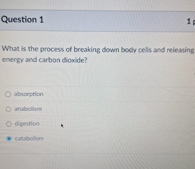 Solved Question 1What is the process of breaking down body | Chegg.com