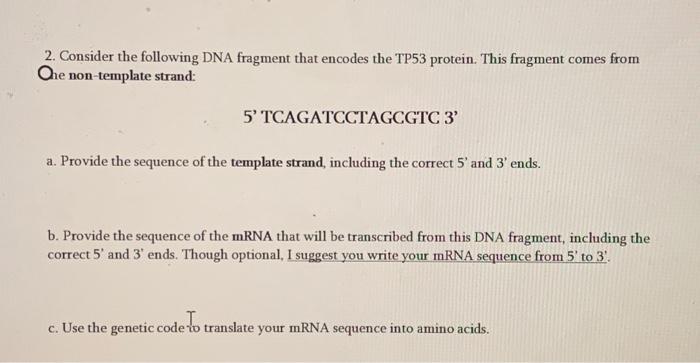 Solved 2. Consider the following DNA fragment that encodes | Chegg.com