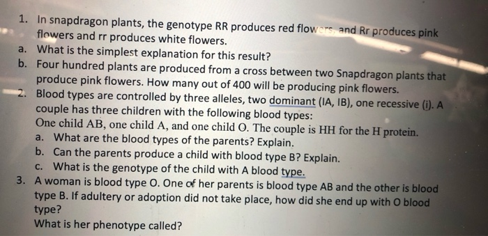 Solved 1. In snapdragon plants, the genotype RR produces red | Chegg.com