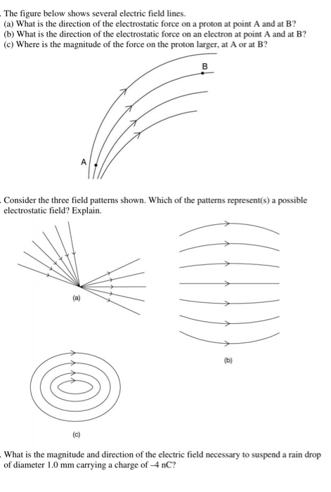 Solved The figure below shows several electric field lines. | Chegg.com