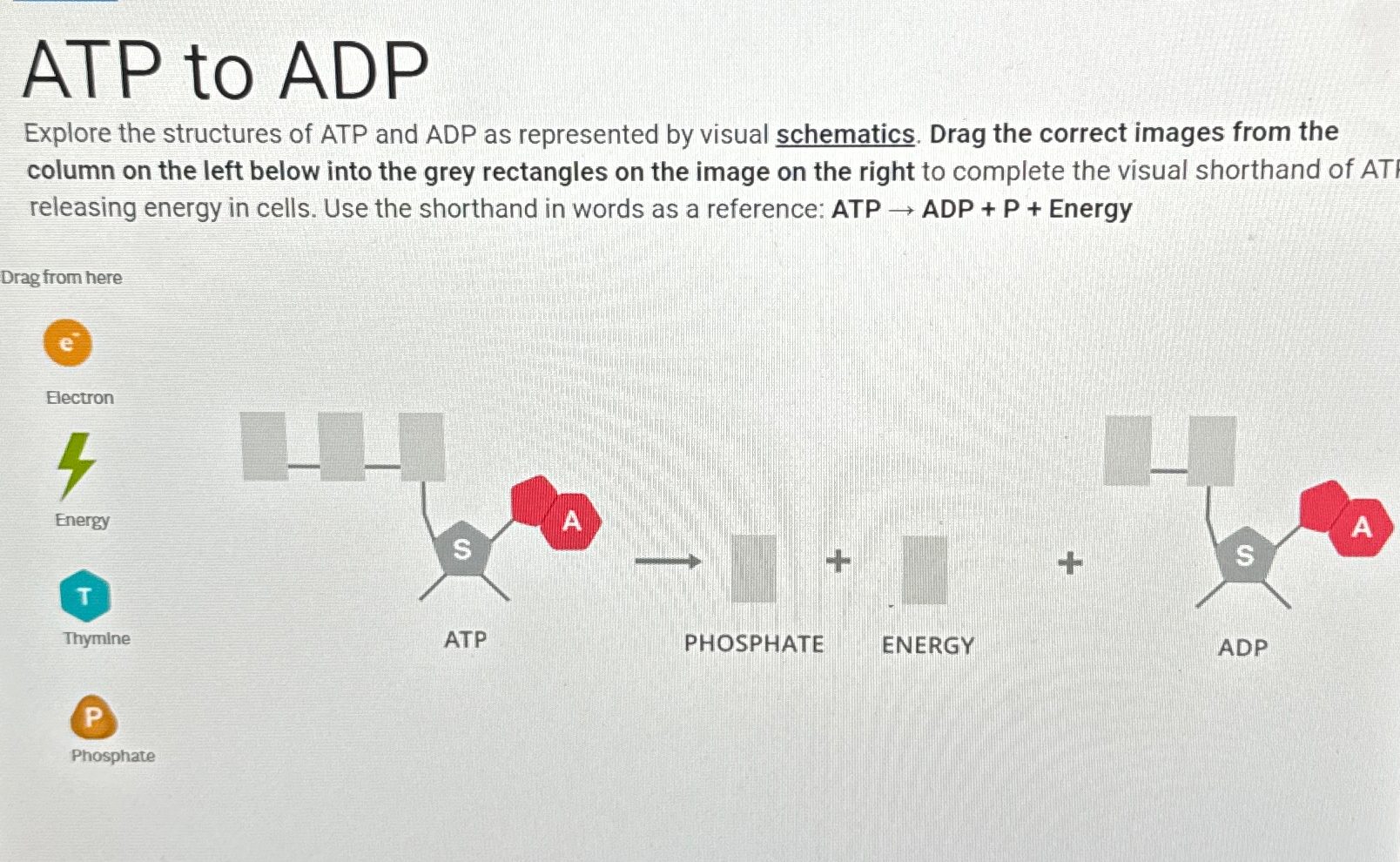 Solved ATP to ADPExplore the structures of ATP and ADP as | Chegg.com