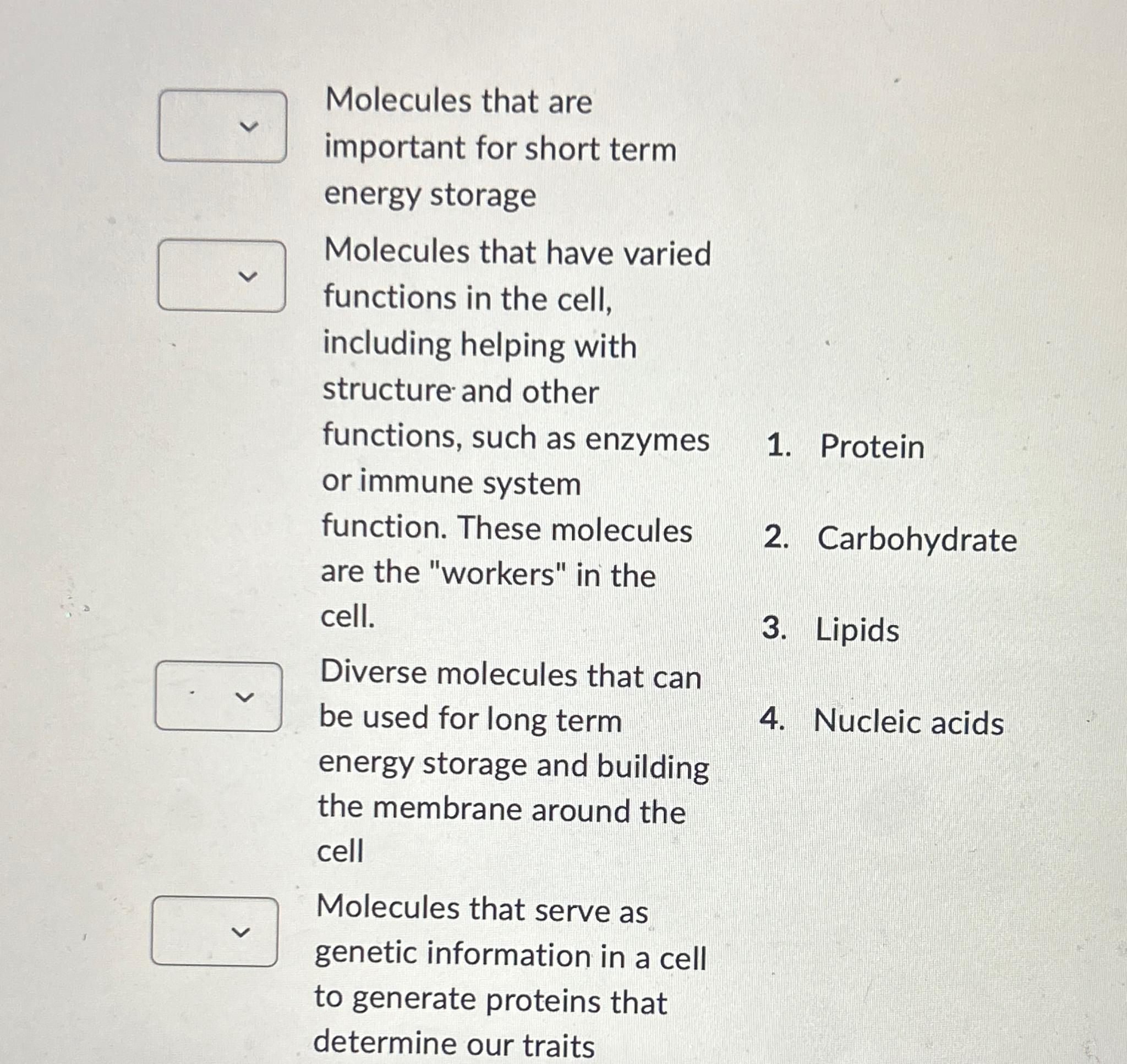 Solved Molecules that are important for short term energy | Chegg.com
