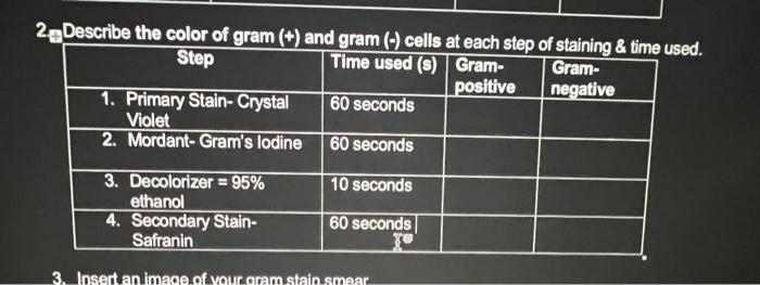 Solved 2. Describe the color of gram (+) and gram (−) cells | Chegg.com