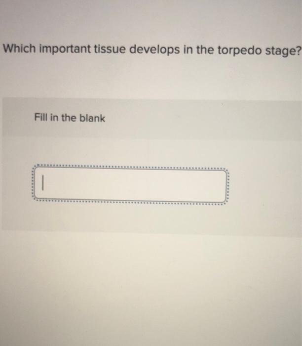 Solved Which important tissue develops in the torpedo stage? | Chegg.com