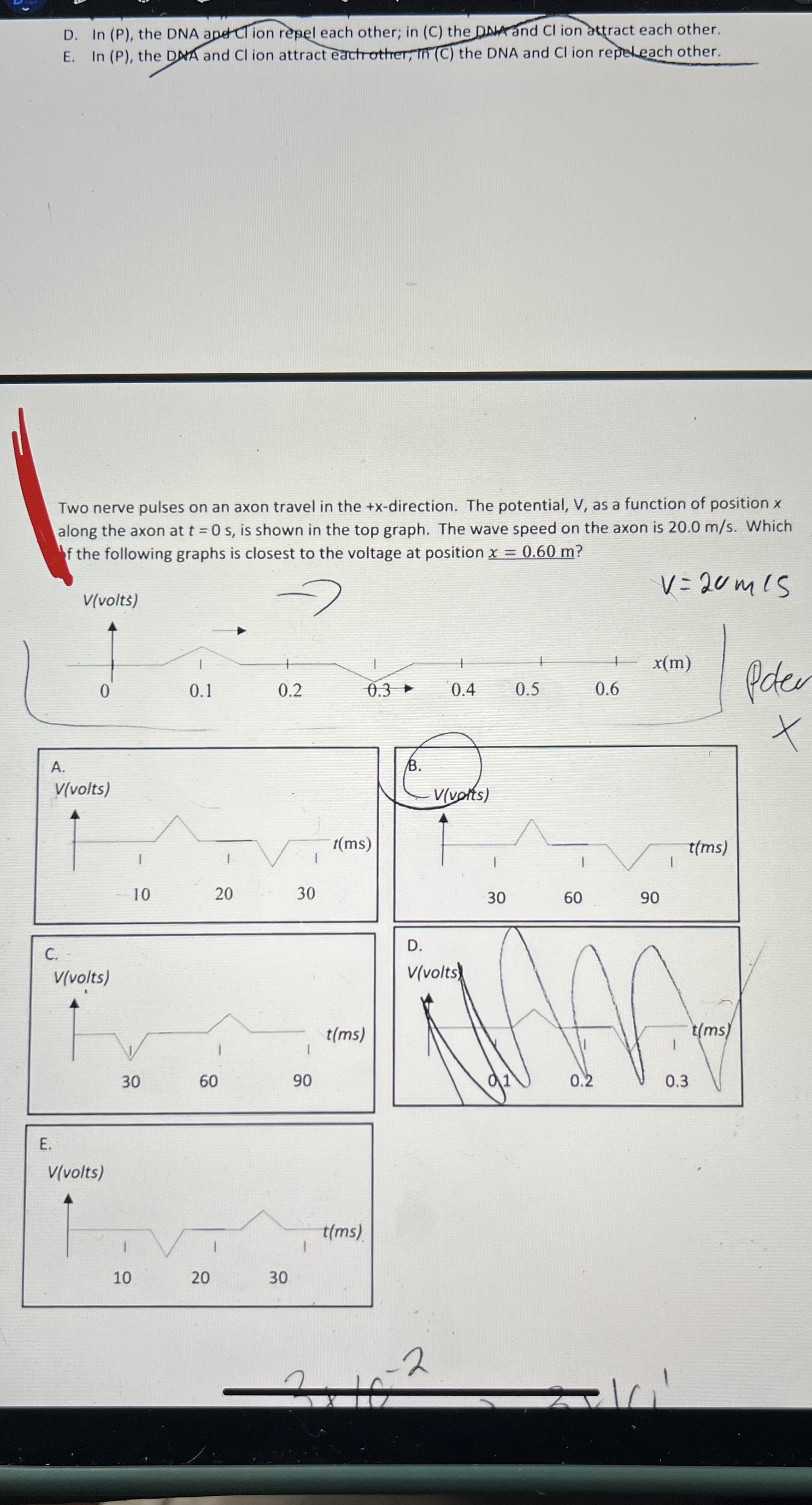 Solved Two nerve pulses on an axon travel in the | Chegg.com