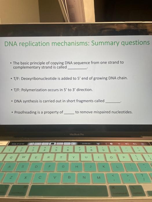 Solved DNA replication mechanisms: Summary questions - The | Chegg.com