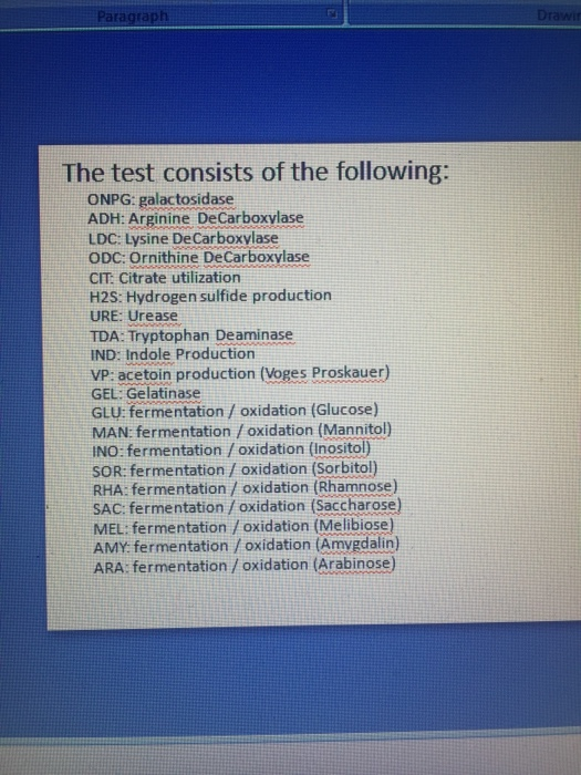 Exercise 8 Use Of The Api 20e System To Identify Gram