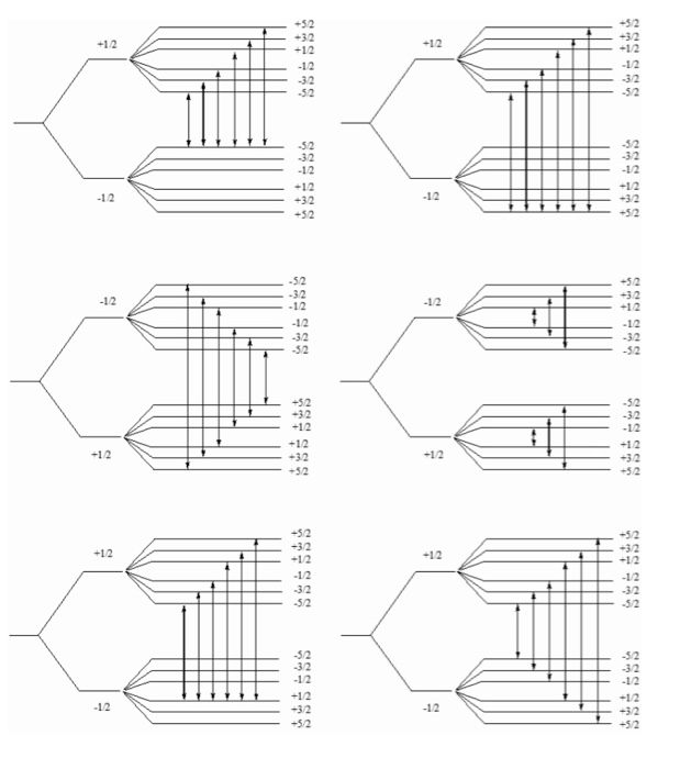 Solved 8. State the selection rules of electron spin | Chegg.com