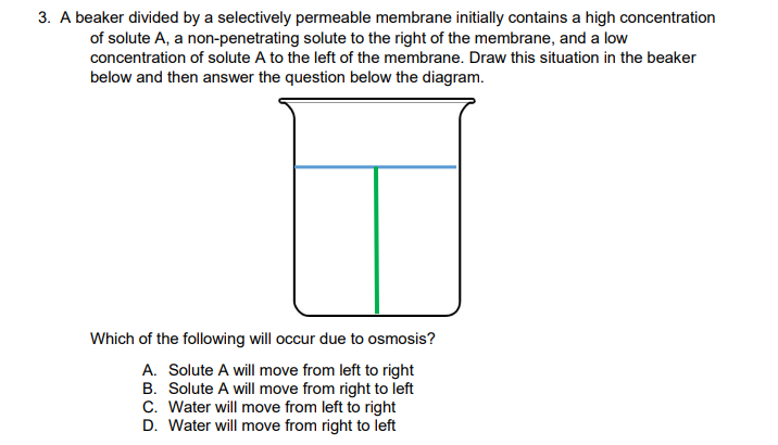 Solved A beaker divided by a selectively permeable membrane | Chegg.com