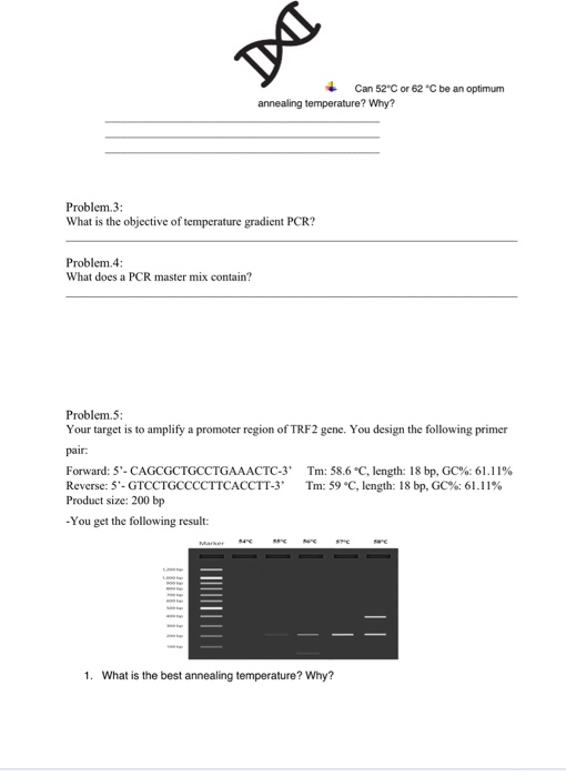 Solved Write the methodology Problem. 1: What does a PCR | Chegg.com