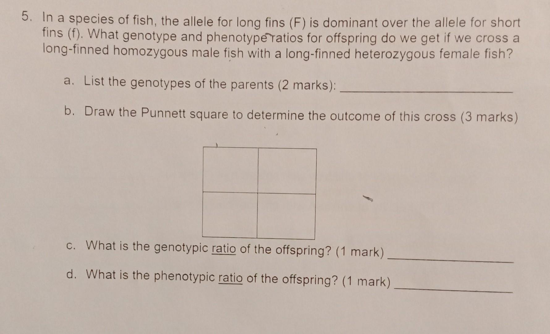 Solved In a species of fish, the allele for long fins (F) is | Chegg.com