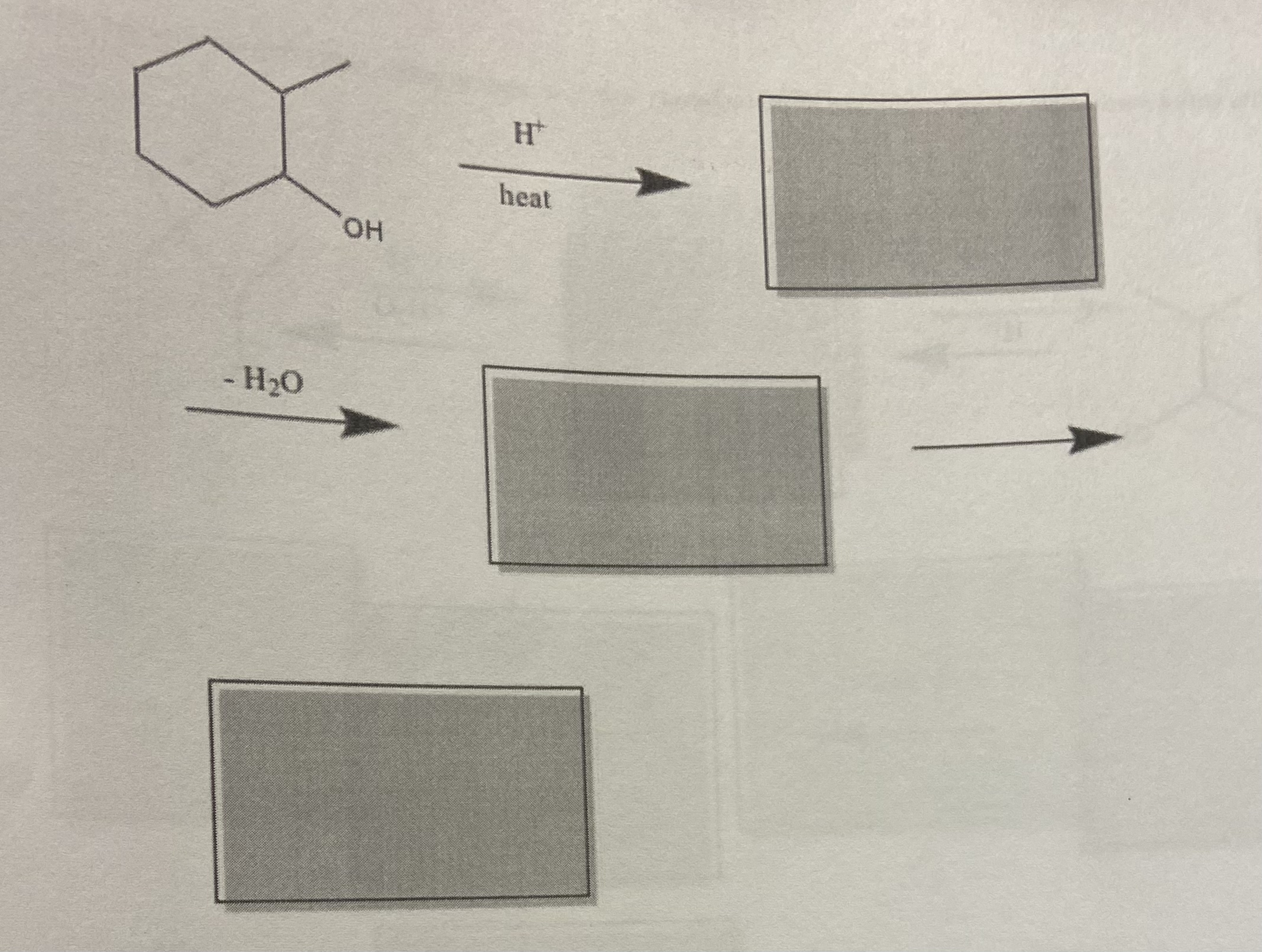 Solved The mechanism of this reaction involves a carbocation | Chegg.com