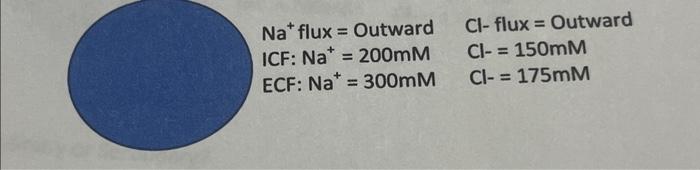 Solved Na+flux = Outward ICF: Na+=200mM ECF: Na+=300mMCl− | Chegg.com