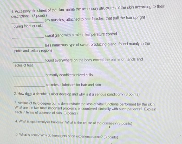 Solved 1. Accessory structures of the skin name the | Chegg.com