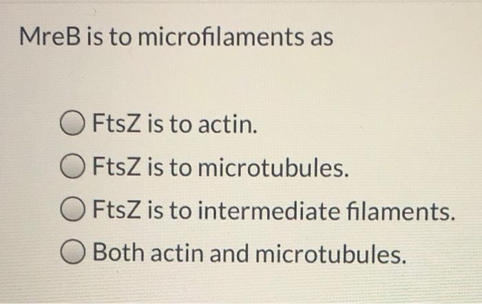 Solved MreB is to microfilaments as 0 FtsZ is to actin. FtsZ | Chegg.com