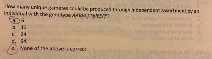 Solved How many unique gametes could be produced through | Chegg.com