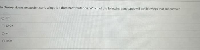 Solved In Drosophila melanogaster, curly wings is a dominant | Chegg.com