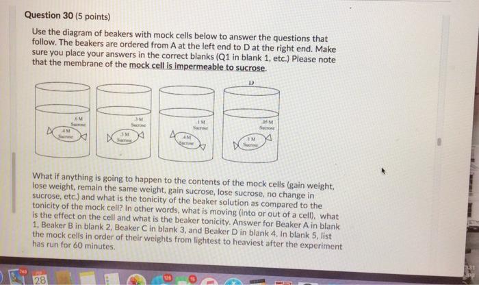 Solved Question 30 (5 points) Use the diagram of beakers | Chegg.com