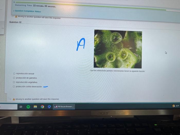 Solved In photo The 3 large round structures have the | Chegg.com