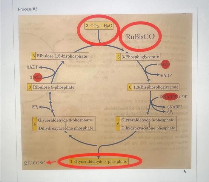 Solved Promace HI | Chegg.com