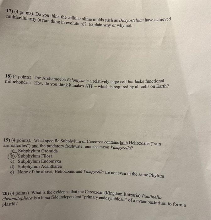 Solved 17) (4 points). Do you think the cellular slime molds | Chegg.com