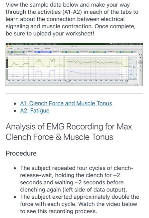 Solved Activity 1: Analysis of EMG Recording for Max Clench | Chegg.com