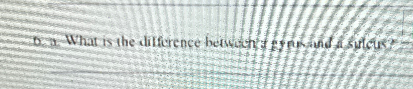 Solved What is the difference between a gyrus and a sulcus? | Chegg.com