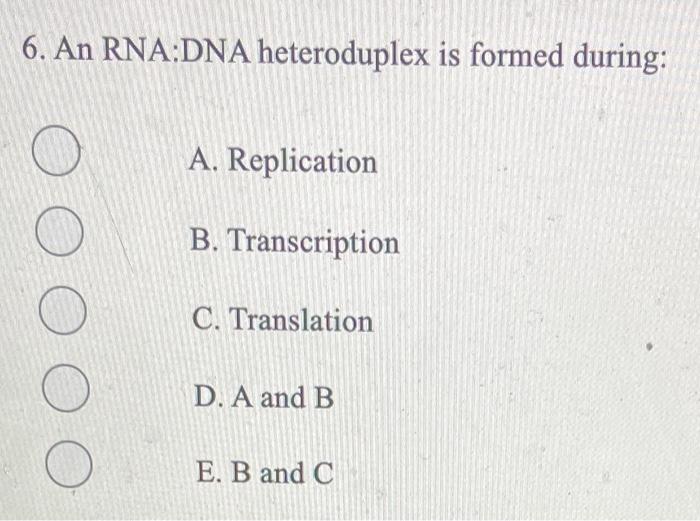Solved 6. An RNA:DNA heteroduplex is formed during: A. | Chegg.com