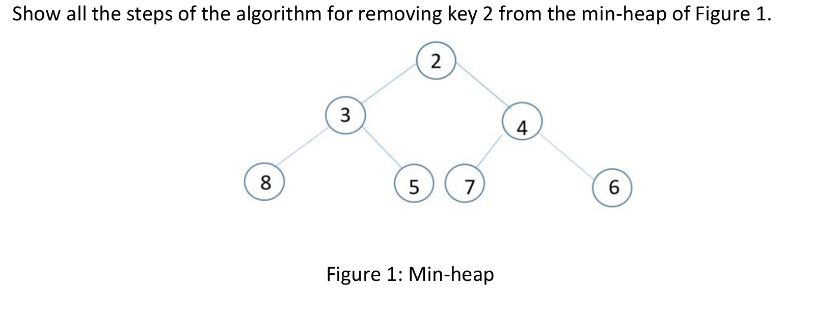 Solved Show All The Steps Of The Algorithm For Removing Key 8592