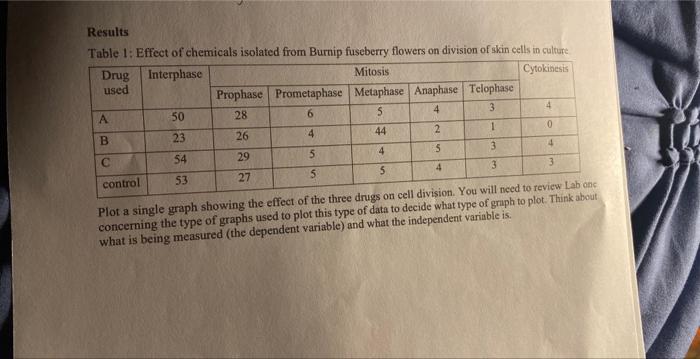 oNa replication and Mitosis Wa dis balutu ecil | Chegg.com