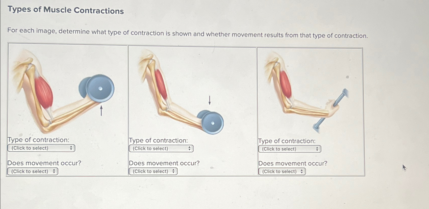 Solved Types of Muscle ContractionsFor each image, determine | Chegg.com