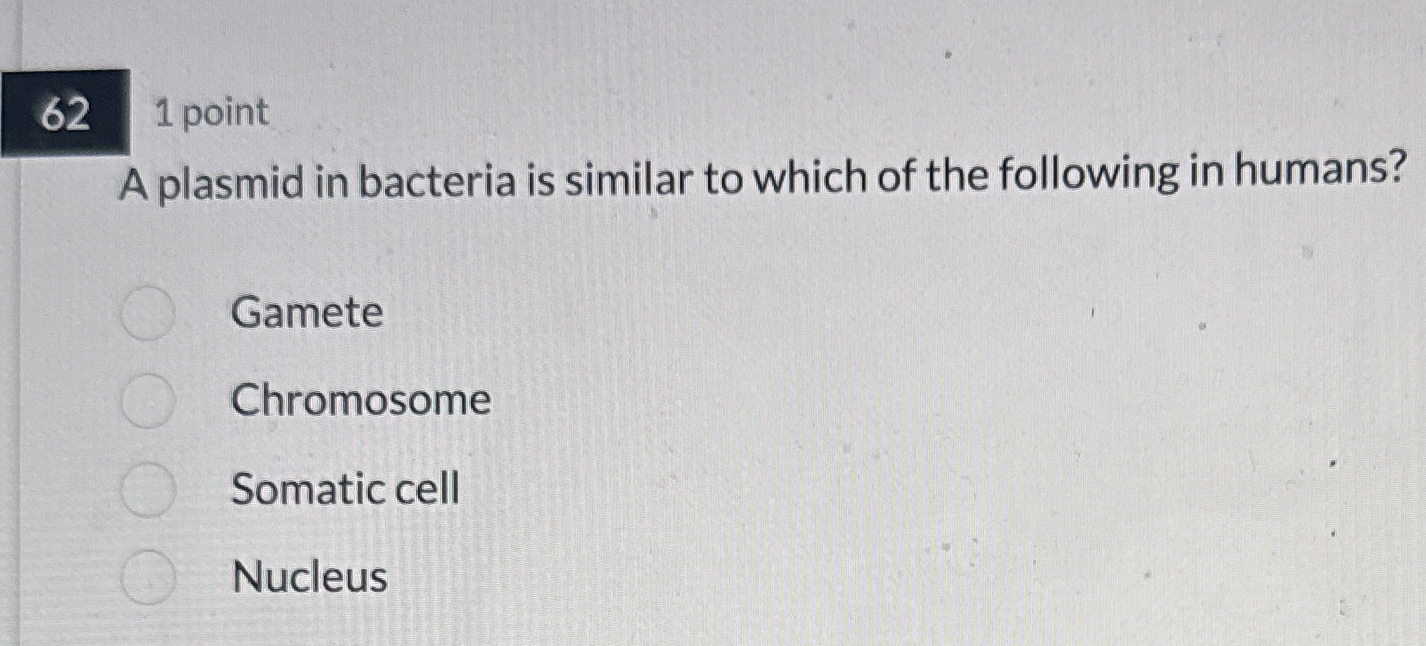 Solved 1 ﻿pointA plasmid in bacteria is similar to which of | Chegg.com