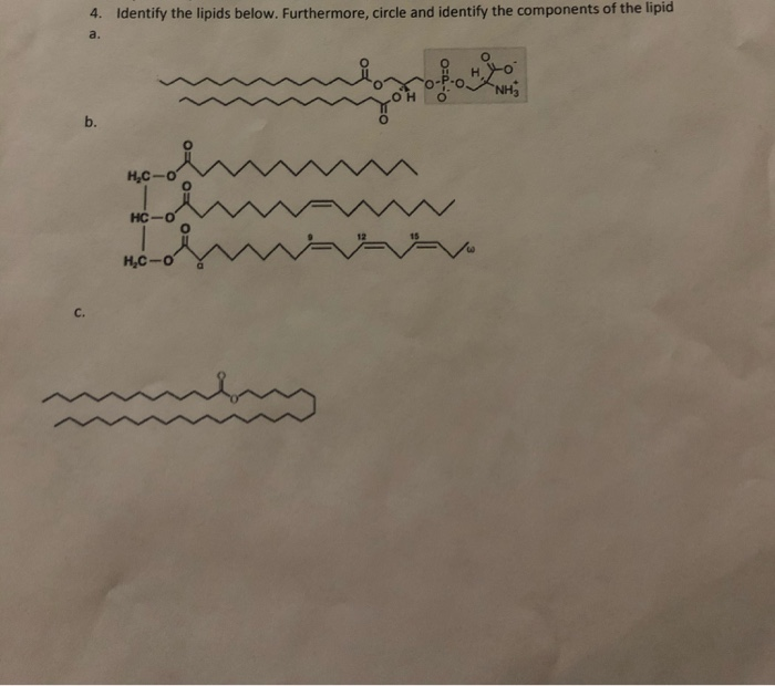 Solved Identify the lipids below. Furthermore, circle and | Chegg.com