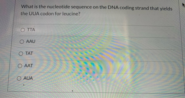 Solved What is the nucleotide sequence on the DNA coding | Chegg.com